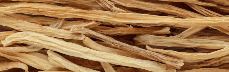 Asparagus Racemosus Extract – Sattva Vaid Nature's